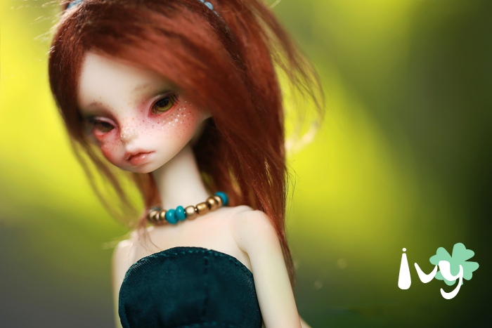 Dollzone : BJD Shop, BJD lovers collect community