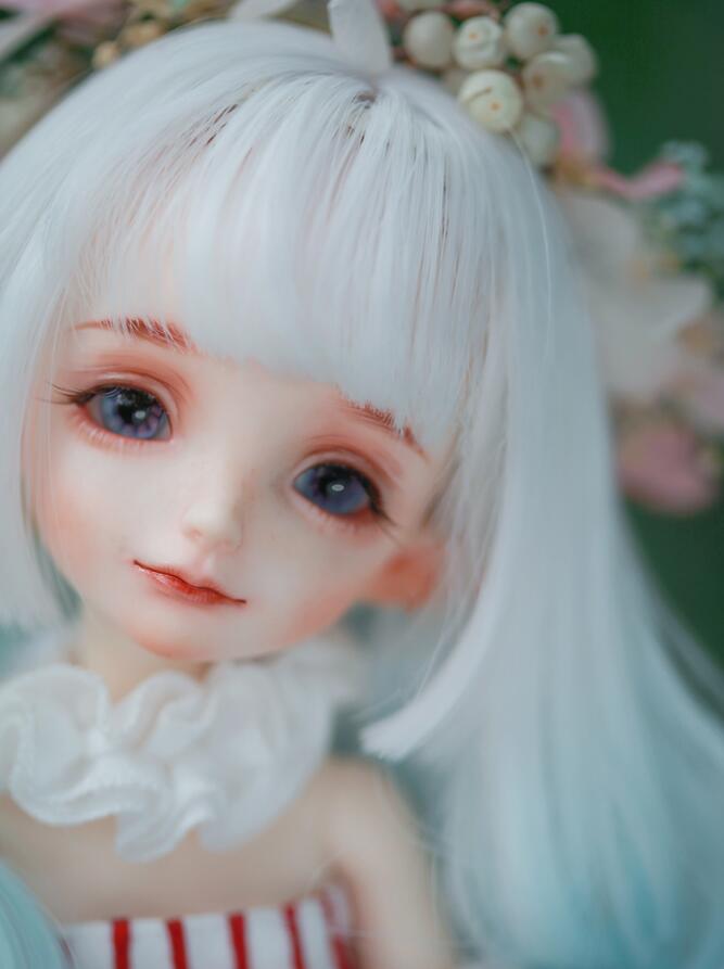 Dollzone : BJD Shop, BJD lovers collect community